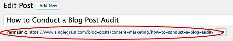 How to Conduct a Blog Post Audit - Single Grain
