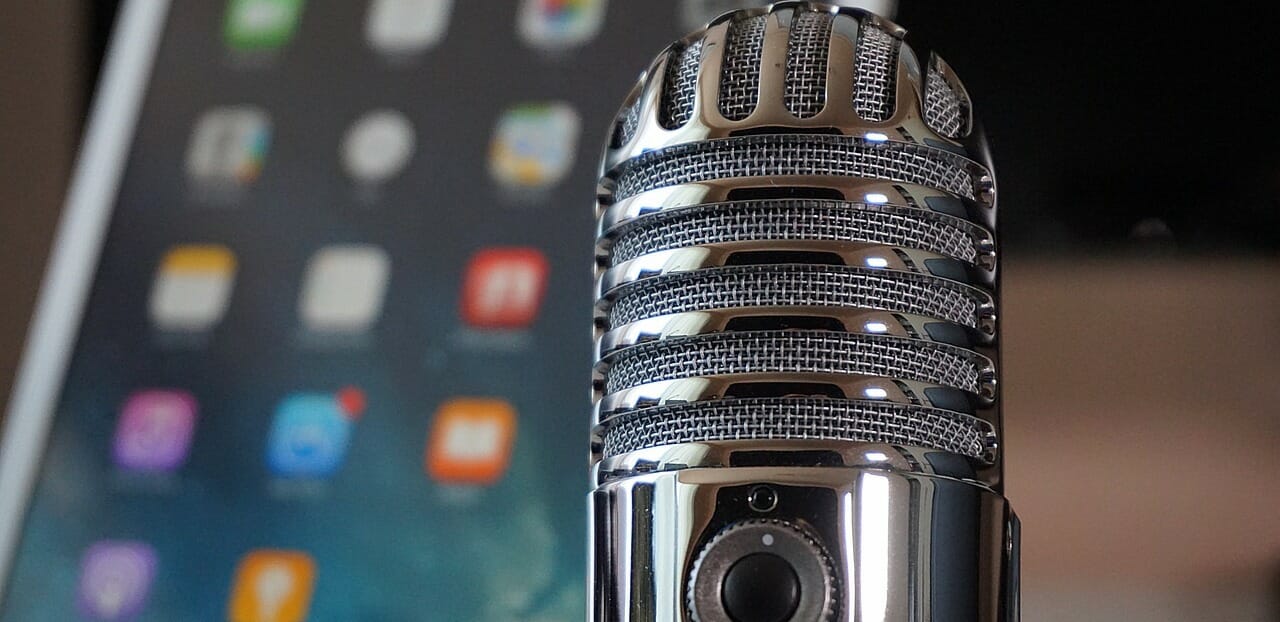 The Ultimate Guide to Podcast Advertising - Single Grain