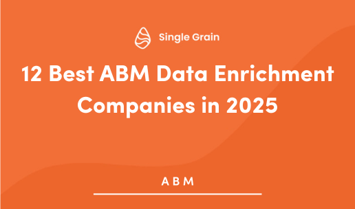 12 Best ABM Data Enrichment Companies in 2025: Expert Analysis